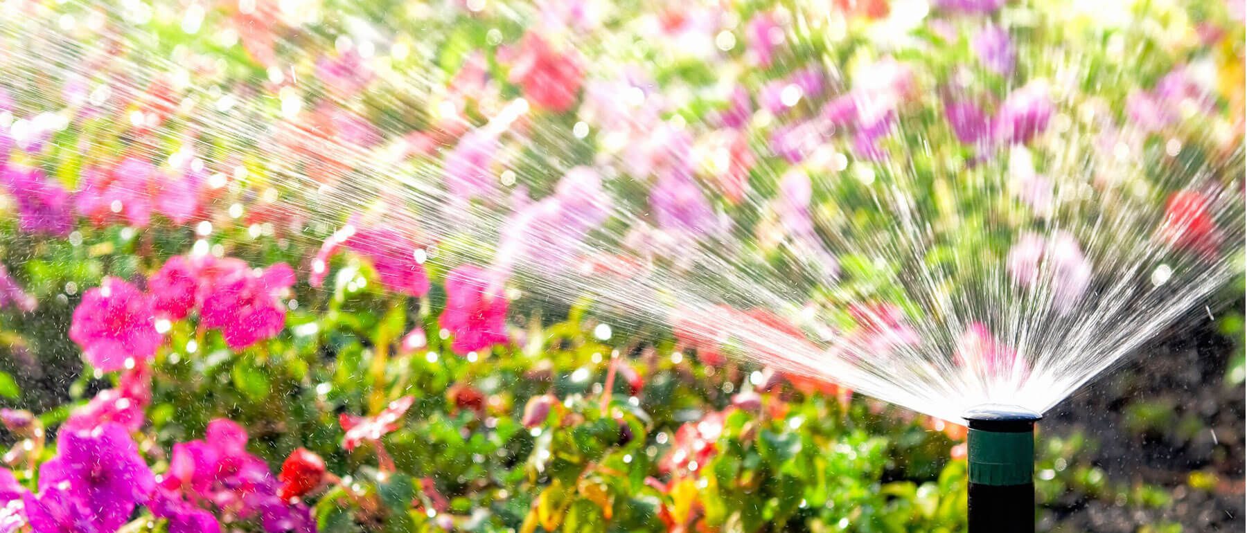 Sprinkler Systems | Fairfield County | Greenwich, CT | Summer Rain